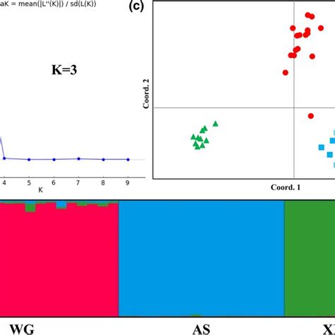 population structure and principal coordinates pcoa plot among