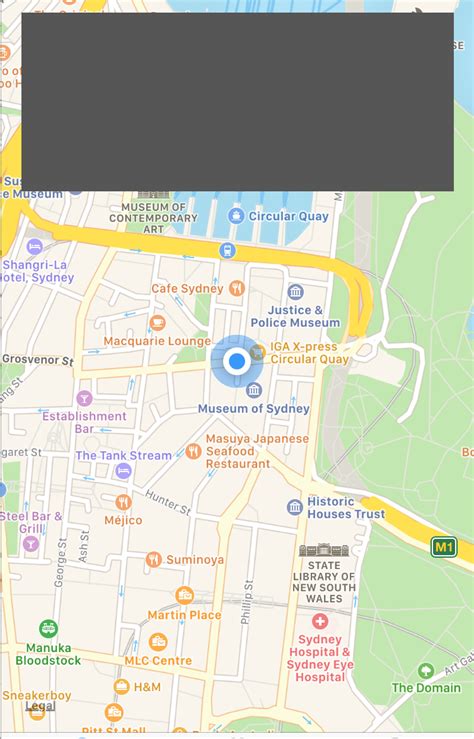 Ios Textfield And Button Not Appearing Inside Of A Container View