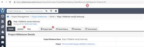 Bug Project Task Creation Not Working From Workflow · Issue 14417 · Yetiforcecompany