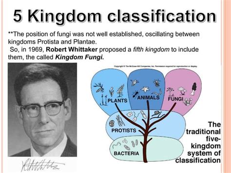 Microbial Taxonomy And Classification System Pptx Biological