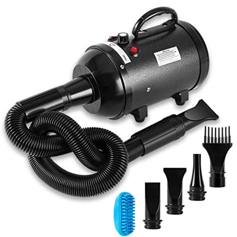 10 Best Dog Dryers | 2024