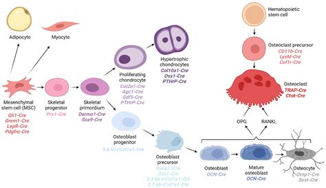 Biomolecules Free Full Text The Past Present And Future Of