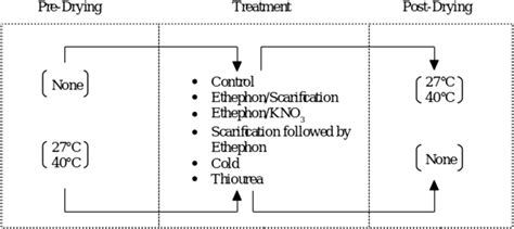 Flow Chart Overview Of The Drying And Treatment Including Pre Drying