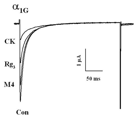 Effects Of Ginsenoside Rg And Rh And Ginsenoside Metabolites CK Download Scientific