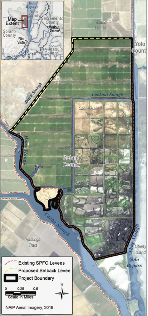 Largest Tidal Restoration Project In California Will Make Way For Wildlife And Mitigate Floods