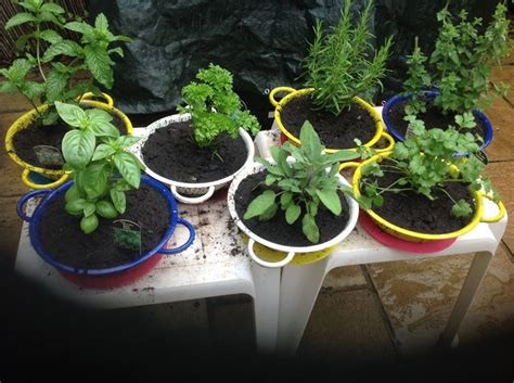 Cheap Poundland Uk Metal Colanders Spray Painted And Planted With