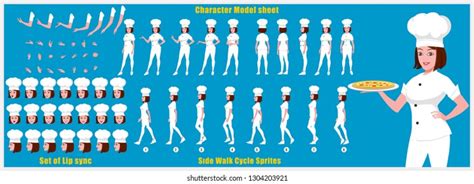 Character Model Sheet Walk Cycle Animation Stock Vector Royalty Free 1304203921 Shutterstock