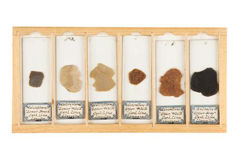 Lot 119 A Small Cabinet Of Geological Microscope
