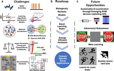Spike Frequency Adaptation Bridging Neural Models And Neuromorphic Applications Research