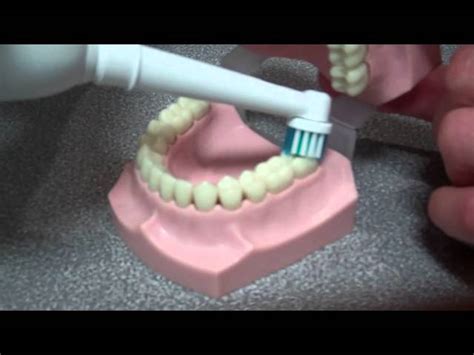 Proper Brushing Method