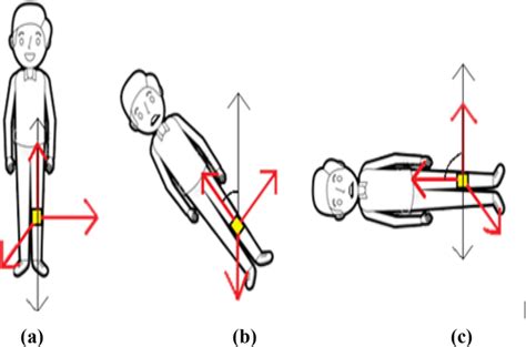 Fall Detection Procedure A 0° B 30° C 90° Between Y Axis Of Download Scientific Diagram