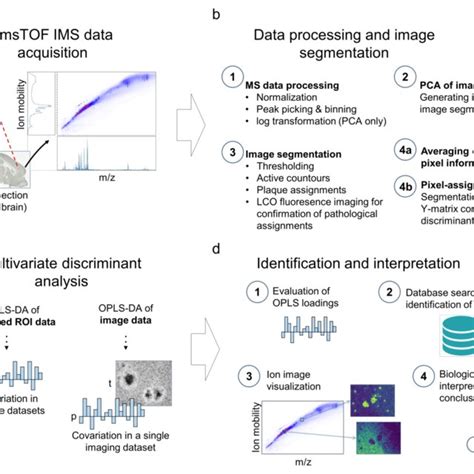 schematic workflow for processing and statistical analysis of timstof