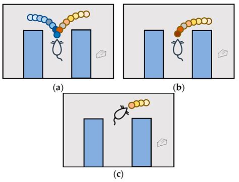 an improved dyna q algorithm inspired by the forward prediction