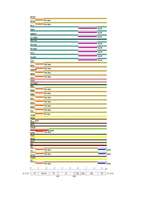 Analysis Of Recombination Events Re In The Alignment Of Complete