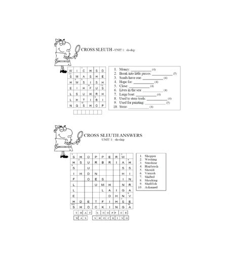 Level A Cross Sleuths Cracking The ABC Code Books NZ