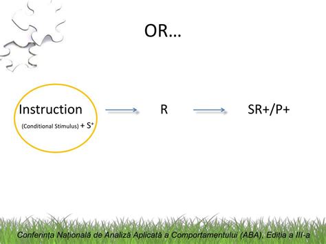 Ppt Conditional Discrimination Procedures Understanding To Application Powerpoint