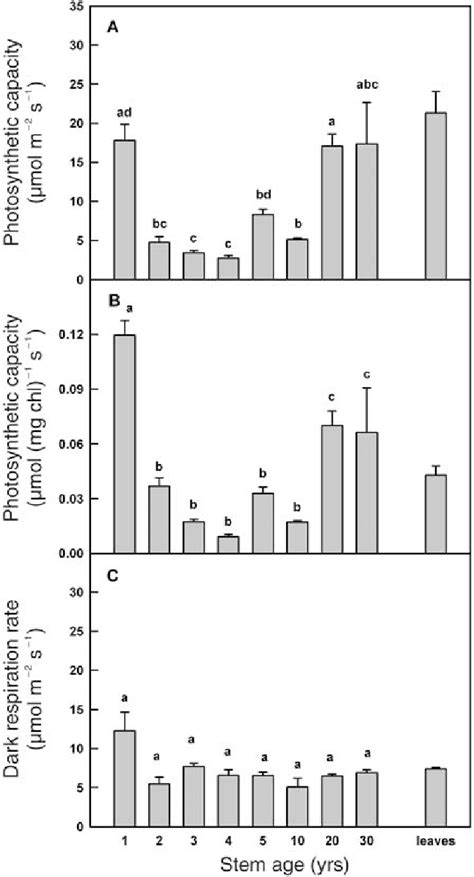 A Photosynthetic Capacity On A Tissue Area Basis And On B A Download Scientific Diagram
