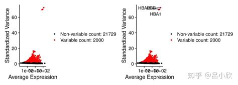 跟着小白使用docker学习seurat单细胞数据分析 知乎