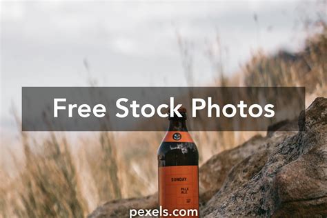 Barley Grass Drink Photos Download The Best Free Barley Grass Drink