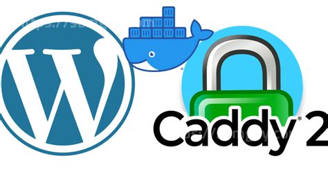 Automatic Backup Of Docker Mysql Or Mariadb Container Sumguys Ramblings