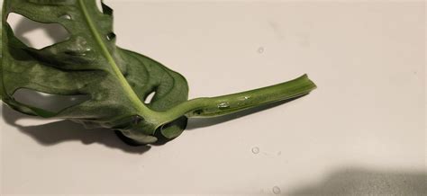 got home to realize no nodes 😭 r proplifting