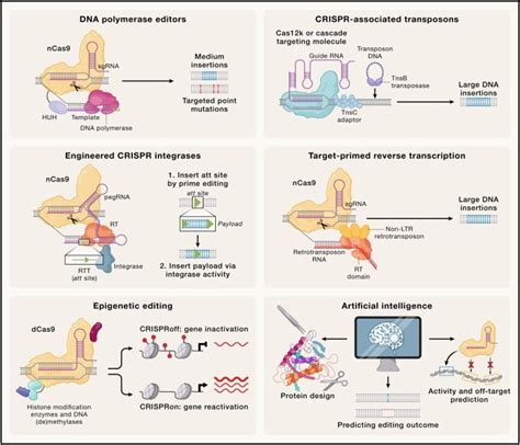 One Stop Cell Therapy Solutions Genscript