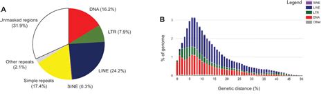 Figure 1 From The Genome Of Armadillidium Vulgare Crustacea Isopoda