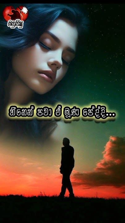 හීනෙන් පවා ඔය මූණ මැවෙනවා 🥺 ️ Manunishu Adarawadan Sinhalawadan Viral Shorts Cute Sad