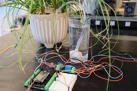build a plant watering robot with webhooks and an esp32