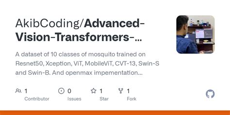 github akibcoding advanced vision transformers and open set learning