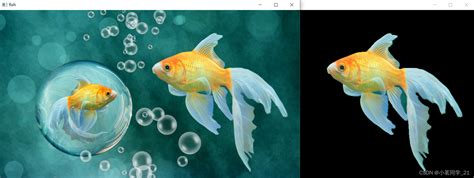 最详细的 Opencv 图像提取裁剪opencv图像裁剪 Csdn博客