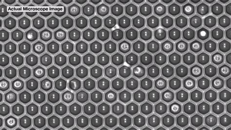 Sievewell™ High Density Cell Arraying Device