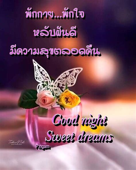 ปักพินโดย Terawan ใน Goodnight ฝันดีราตรีสวัสดิ์ ราตรีสวัสดิ์ ฝัน