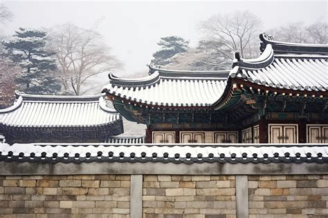 겨울의 한국 궁 겨울 계절 고대 건축 배경 일러스트 및 사진 무료 다운로드 Pngtree