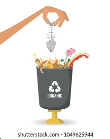 Man Throws Garbage Into Organic Container vector de stock libre de regalías 1049625944