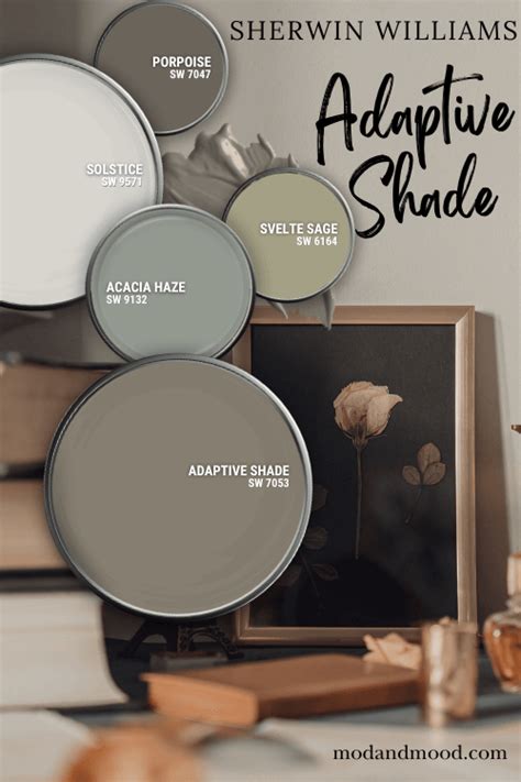 7 Coordinating Colors For The Mysterious Neutral Of Sherwin Williams Adaptive Shade Mod And Mood
