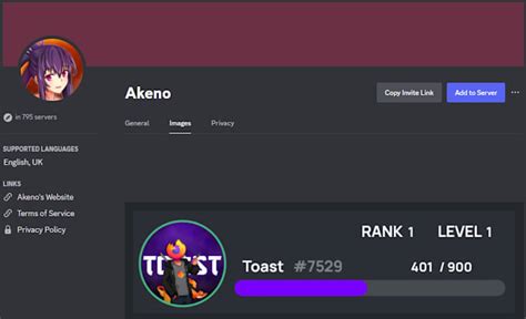 Code A Custom Discord Bot With Nodejs By Amishpatel553 Fiverr