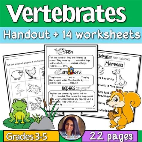 Animals Classification Vertebrates Ms Marwa Tarek In 2024 Animal