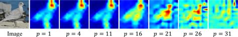 Illustration Of Approximation By Newton Schulz Iteration Each Map