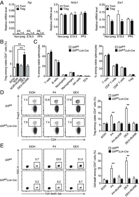 Progesterone Acts Via Promiscuous Binding To The Glucocorticoid