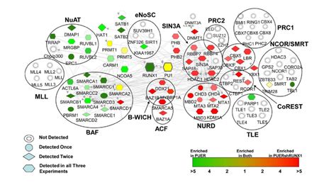 A Summary Figure Of The Switch From Pu1 Interaction With Coactivators