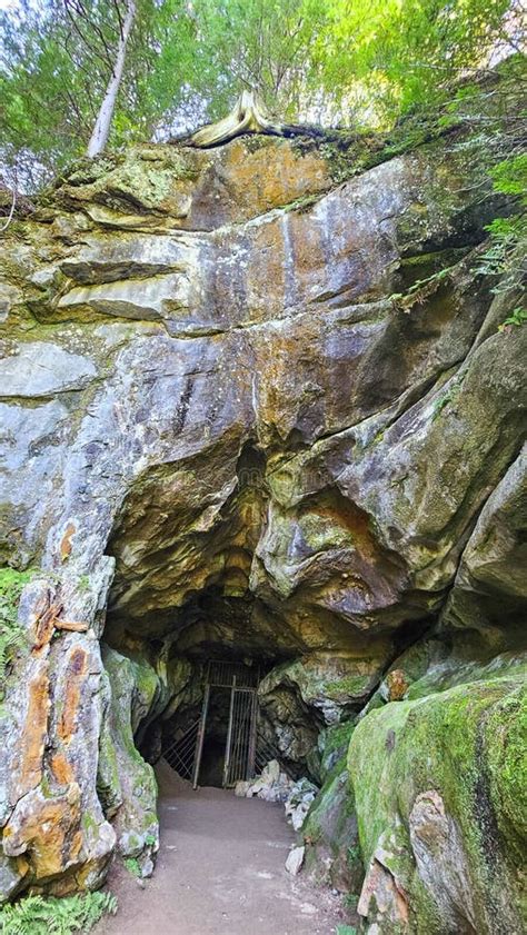 Mysterious Cave Entrance With Stone Walls And Metal Gate In A Lush