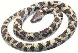 Rubber Snake Rock Python Inch Teton Toys