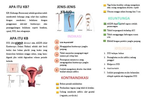 Leaflet Kb Iud Pdf