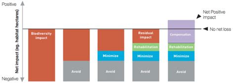 Steps Of The Mitigation Hierarchy A Process In Which It Is Determined Download Scientific