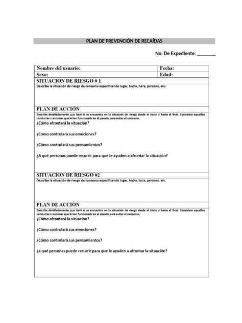 Plan De Prevencion De Recaidas Pdf