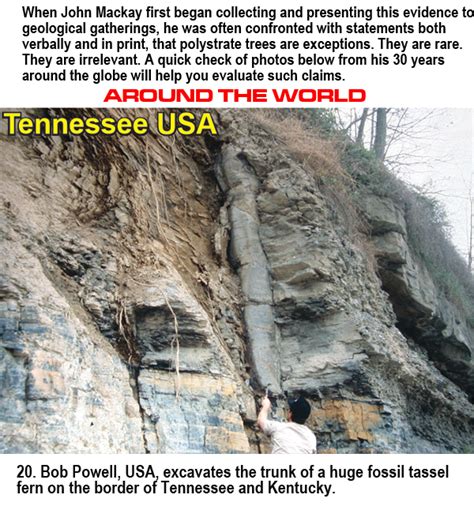 The Evidence From Polystrate Fossils Creation Research
