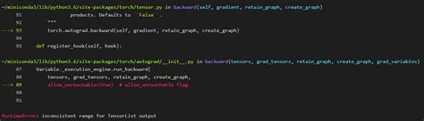 Runtimeerror Inconsistent Range For Tensorlist Output Autograd