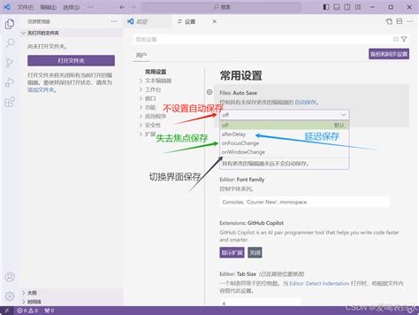 Vs Code详细安装配置教程包含rust配置vscode Rust Csdn博客