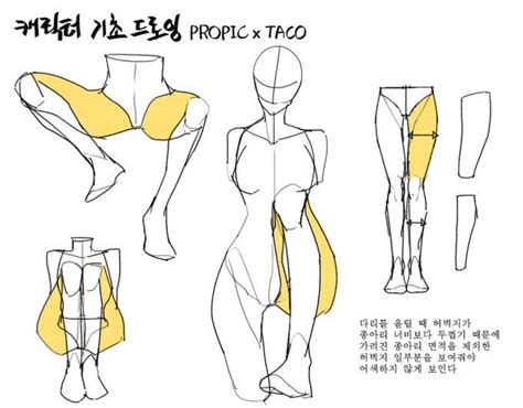 Media Tweets By 타코작가 Taco1704 Twitter Body Reference Drawing Anatomy Sketches Sketches